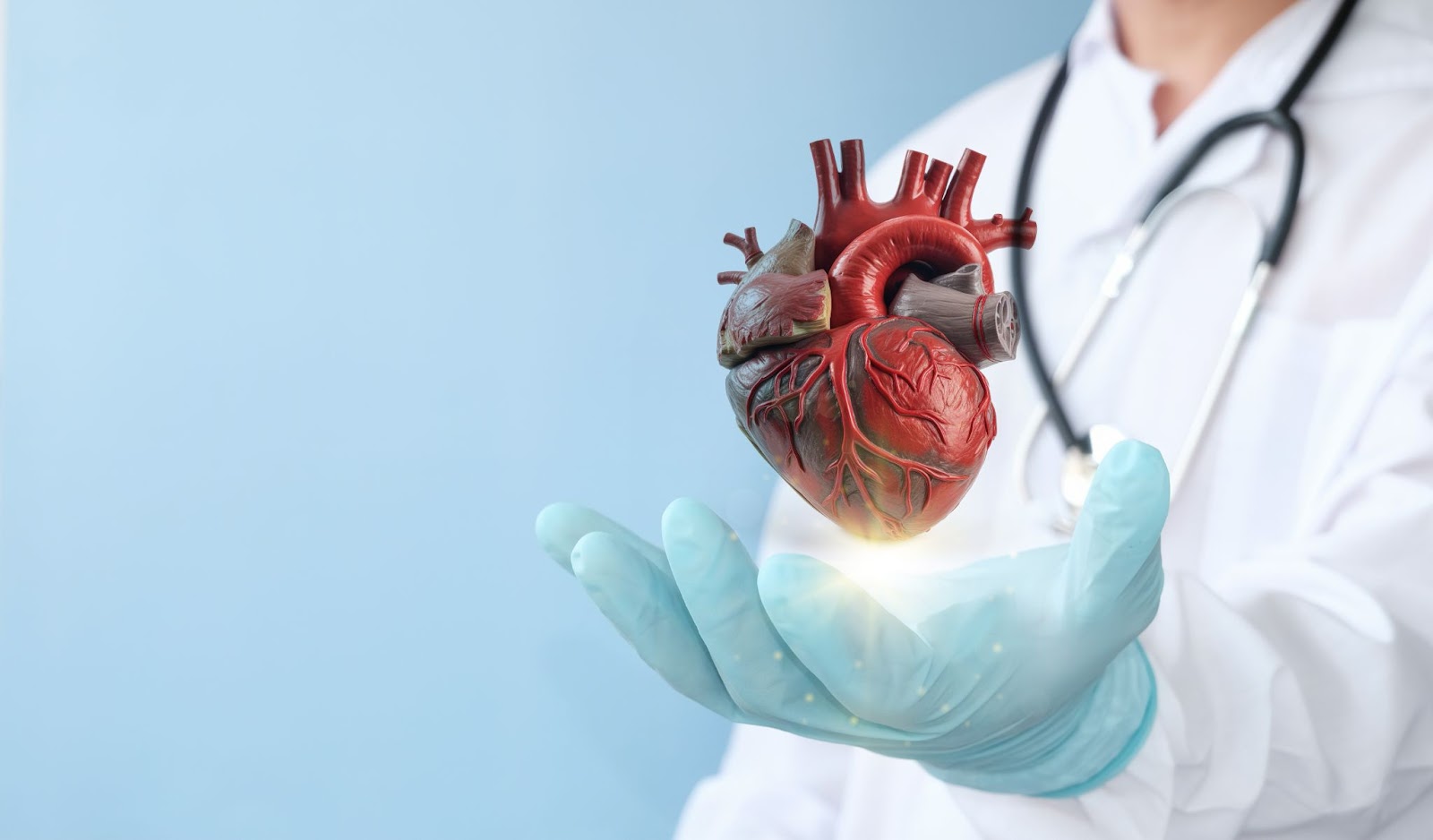 A Guide To Heart Imaging Tests - One Step Diagnostic